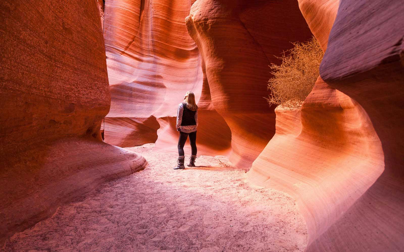 Custom Adventure Travel Tours Hike Raft Safari| MT Sobek - MT Sobek