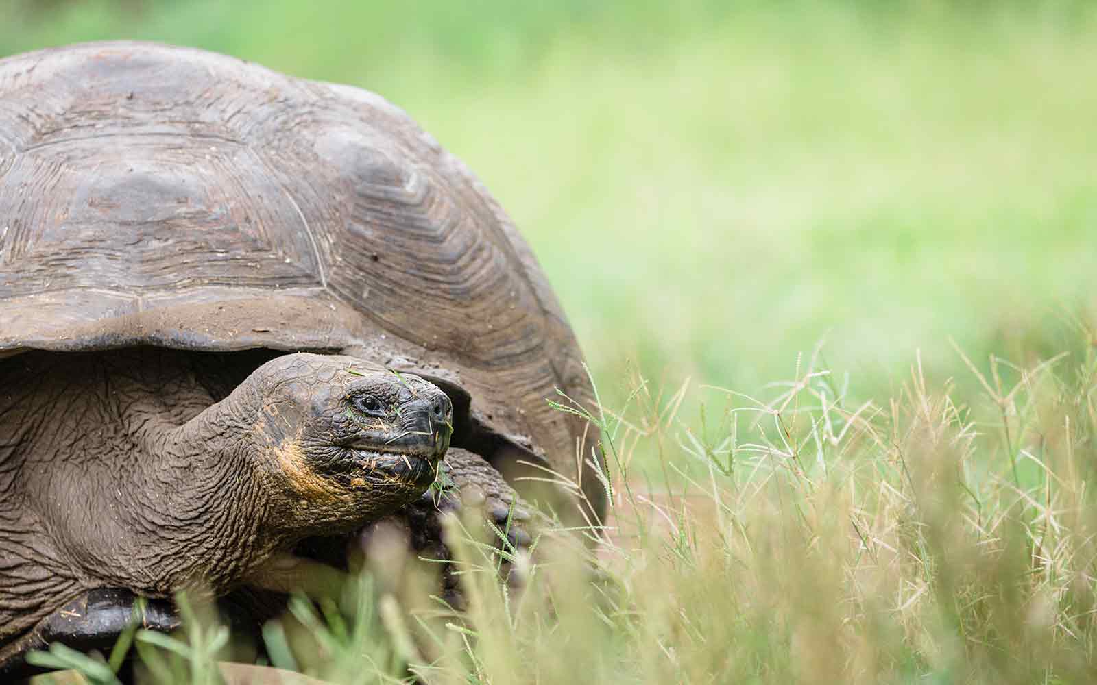 Central Latin South America Adventure Travel & Tours | MT Sobek - MT Sobek