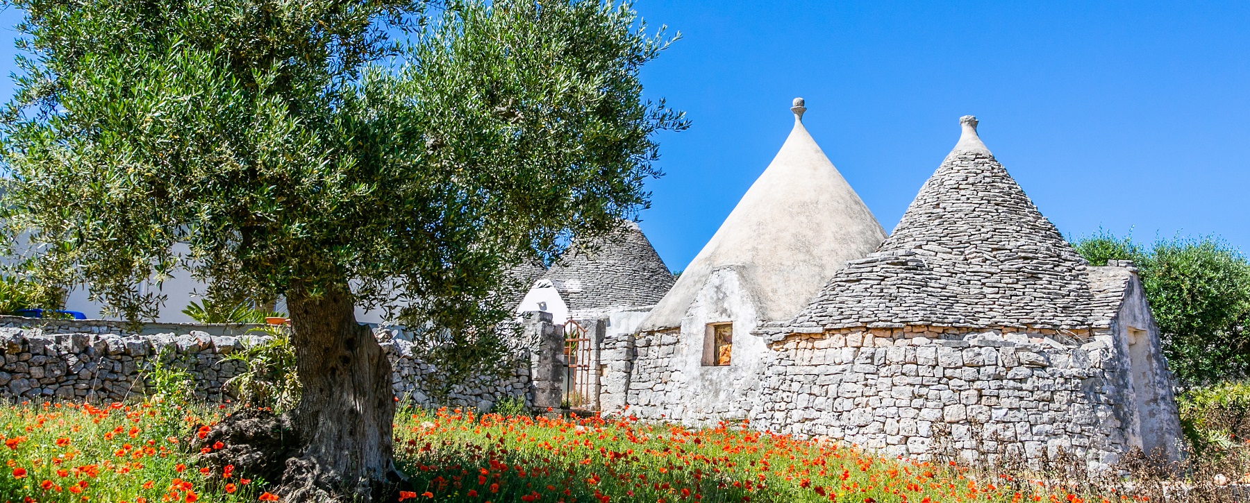 Adventure Travel | Adventure Vacations | MT Sobek - MT Sobek